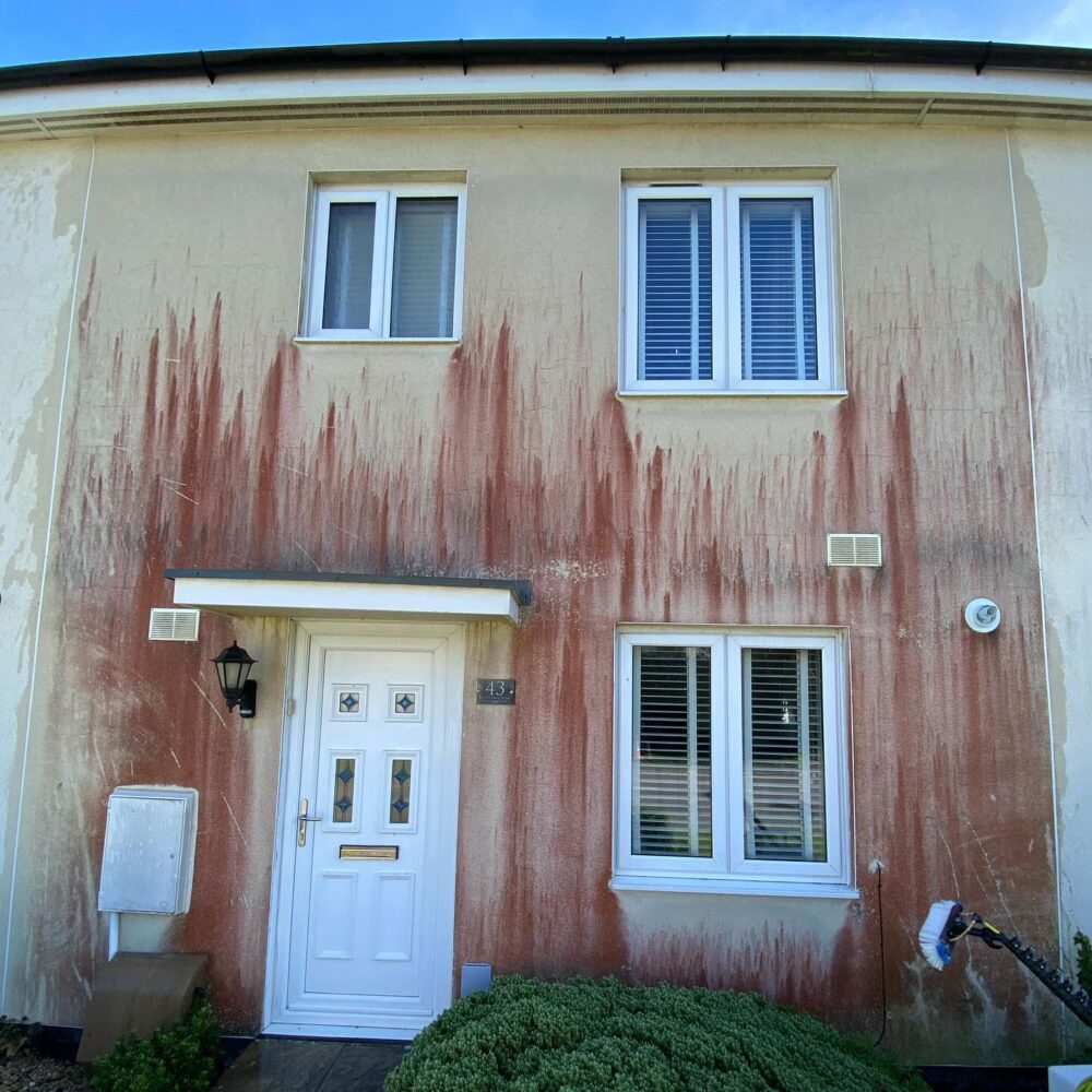 Satisfying Softwash Red Algae Render Cleaning in Trencreek