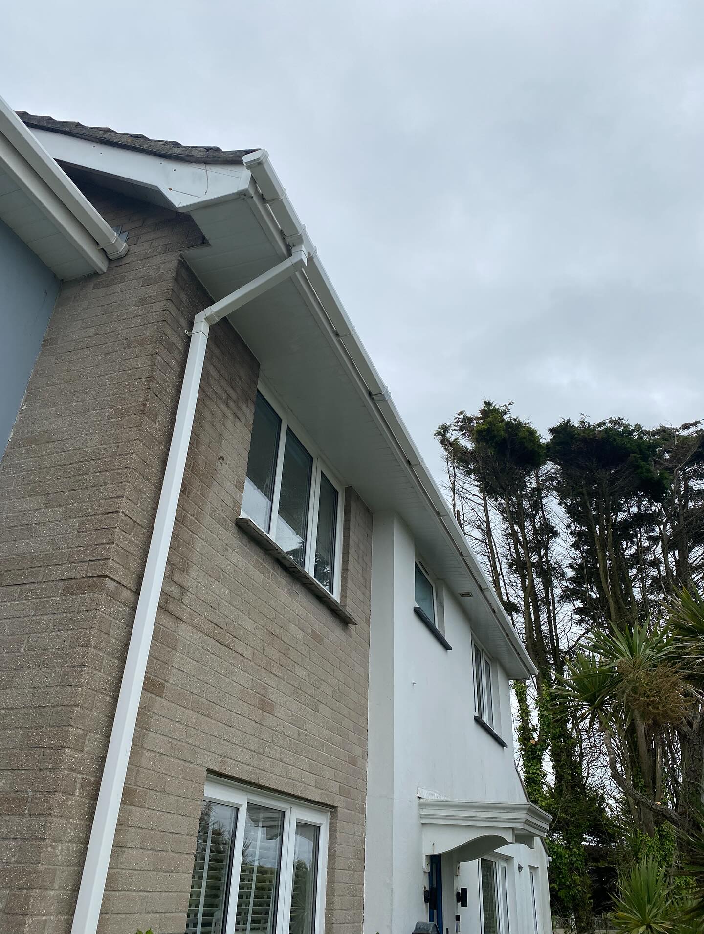 Pine Needle Gutter Vacuum Clearance and Fascia & Soffit Clean at a ...